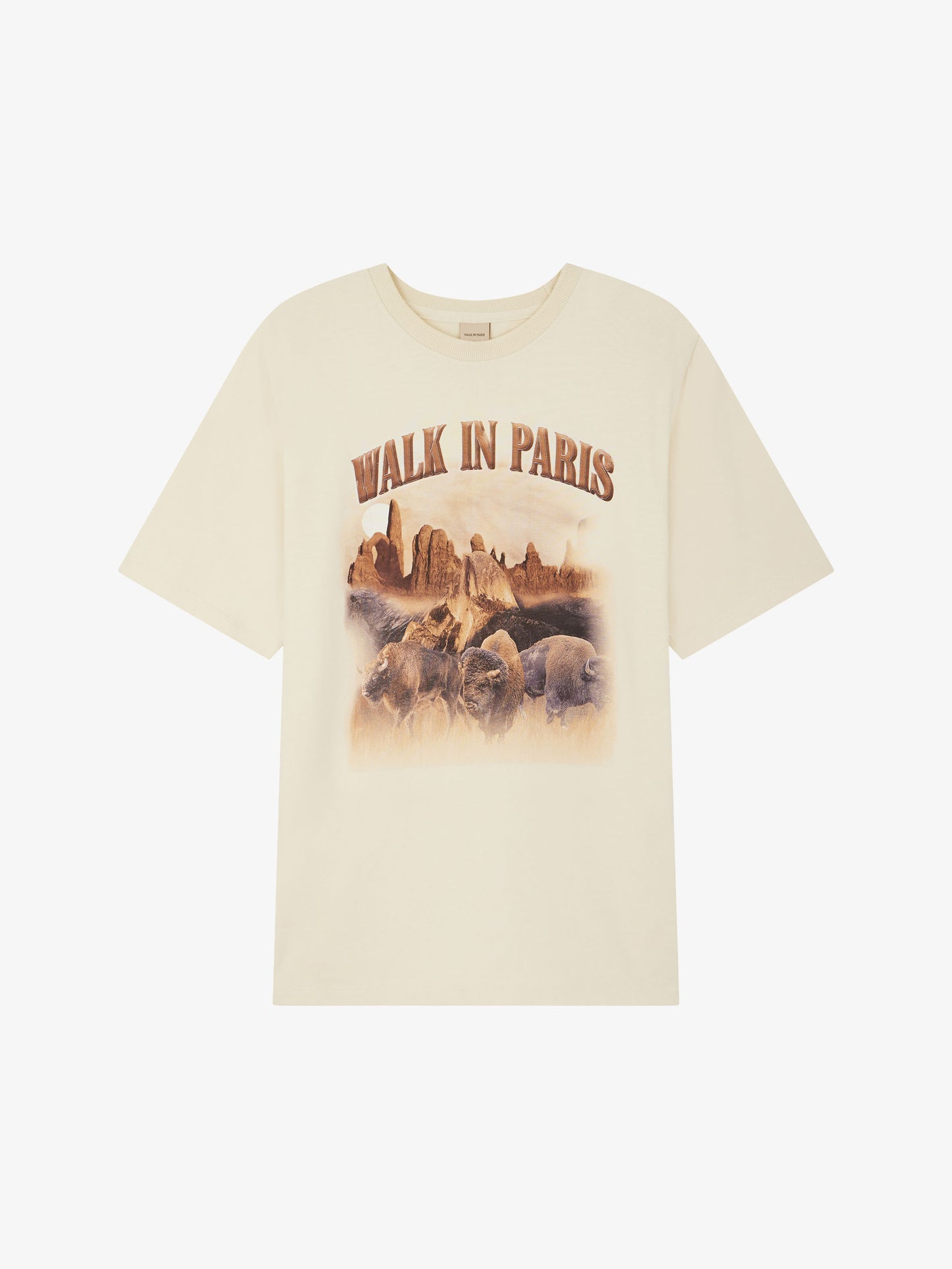 Collections – Walk in Paris